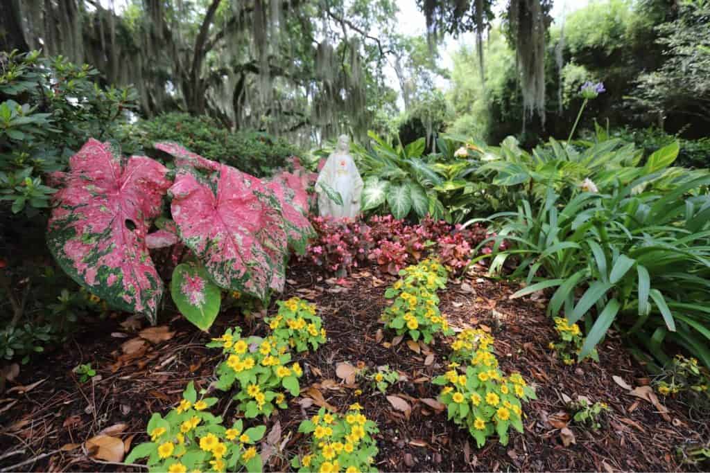 Gallery – Landscape Management